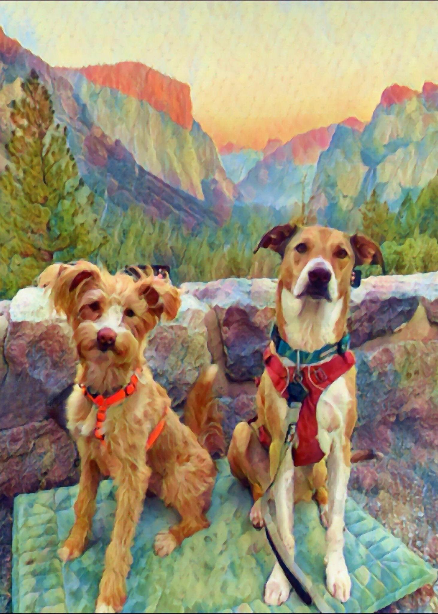 Apurva Ayyangar and Eli Hamblet's Wedding Website