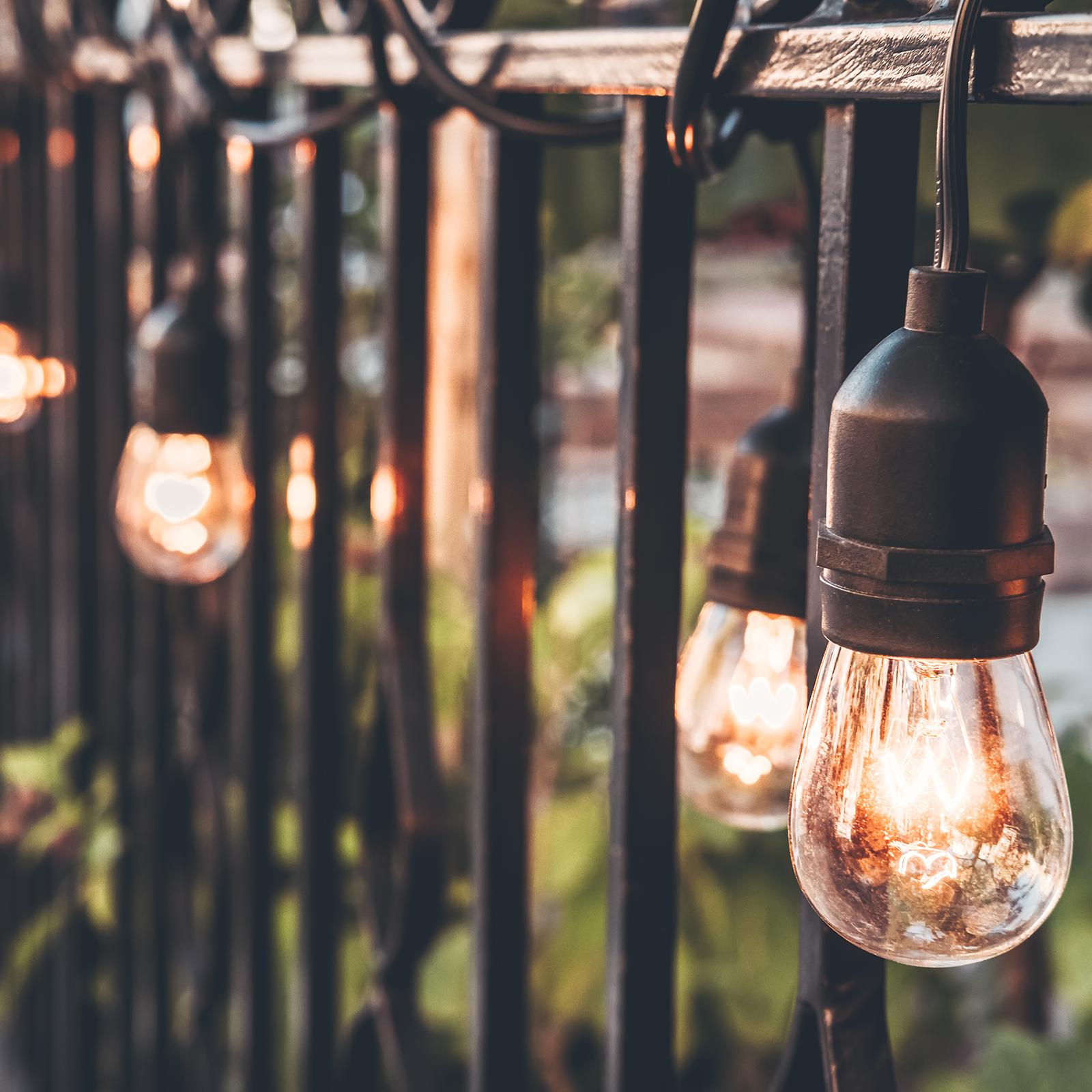 Bulbrite, 30' Vintage Bulbs String Light Kit | Zola