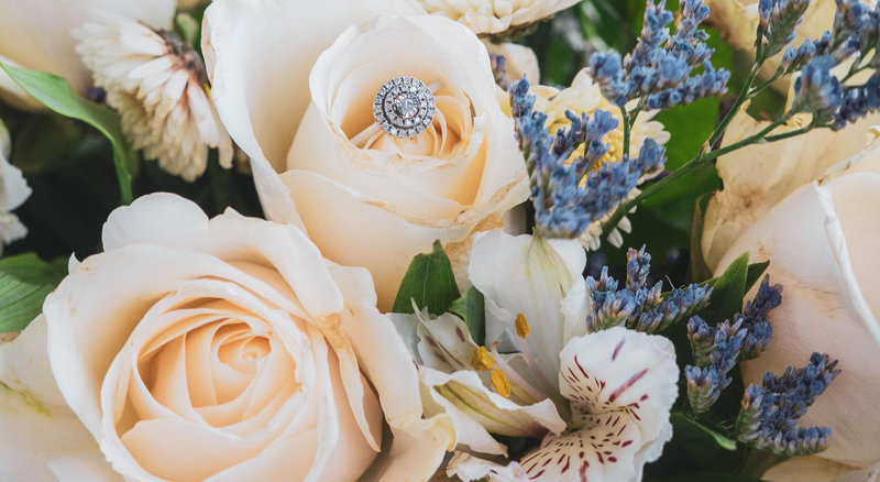 Ivy Taylor and Kameron Harper's Wedding Website