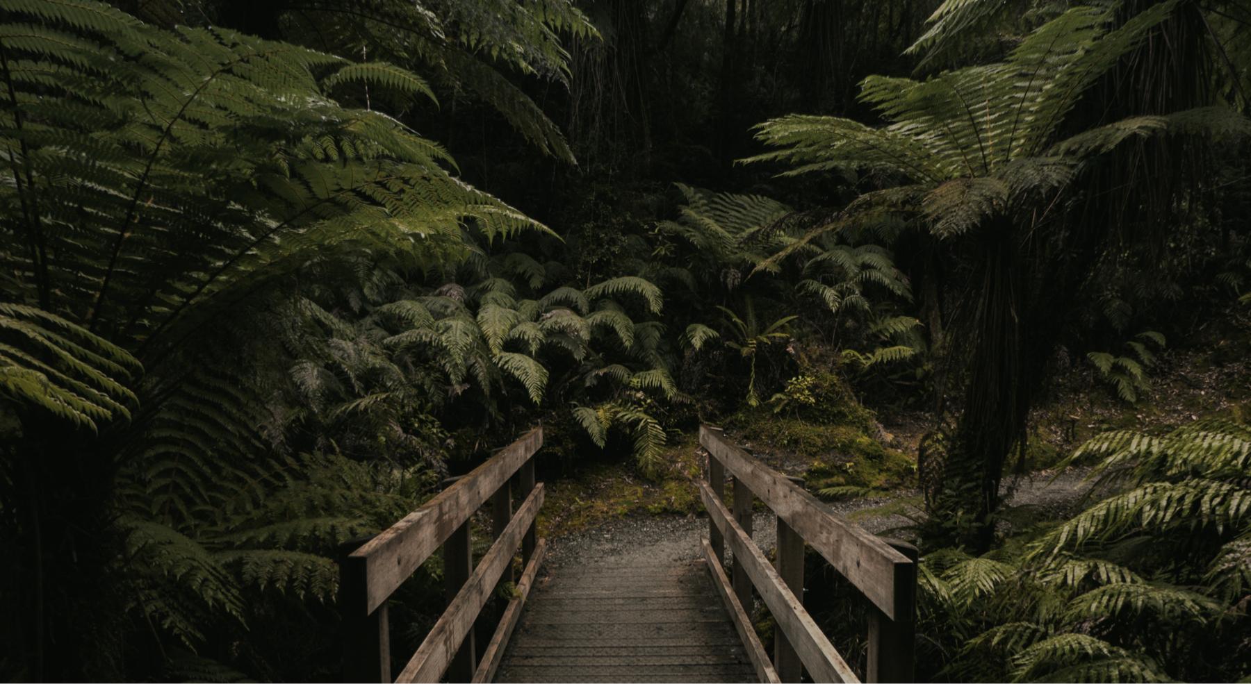 Erica Lutes and Brandon Little's Wedding Website