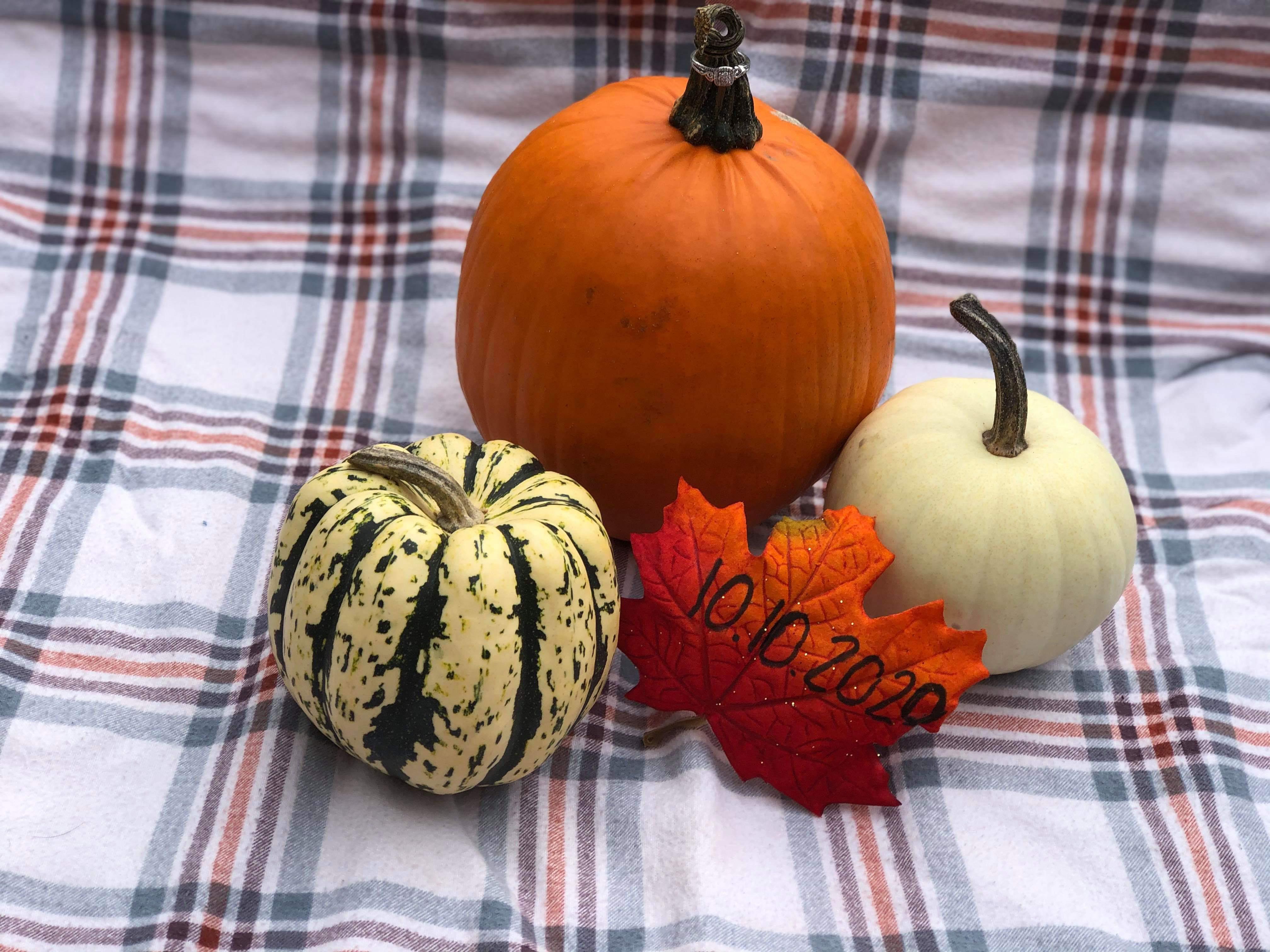 Celeste McNiel and Levii Ingram's Wedding Website