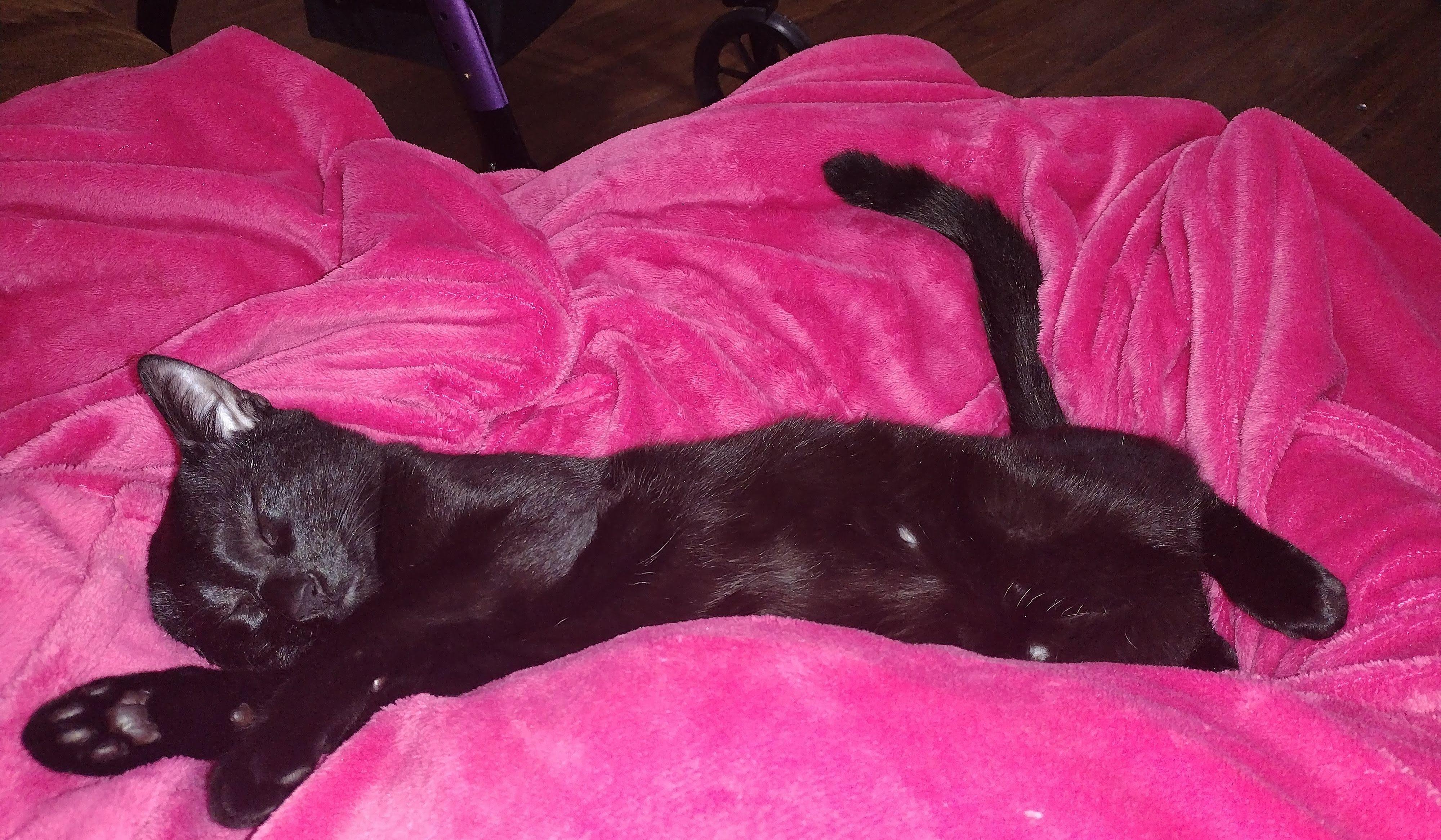 Amy Dunaway and Tara Barone's Wedding Website