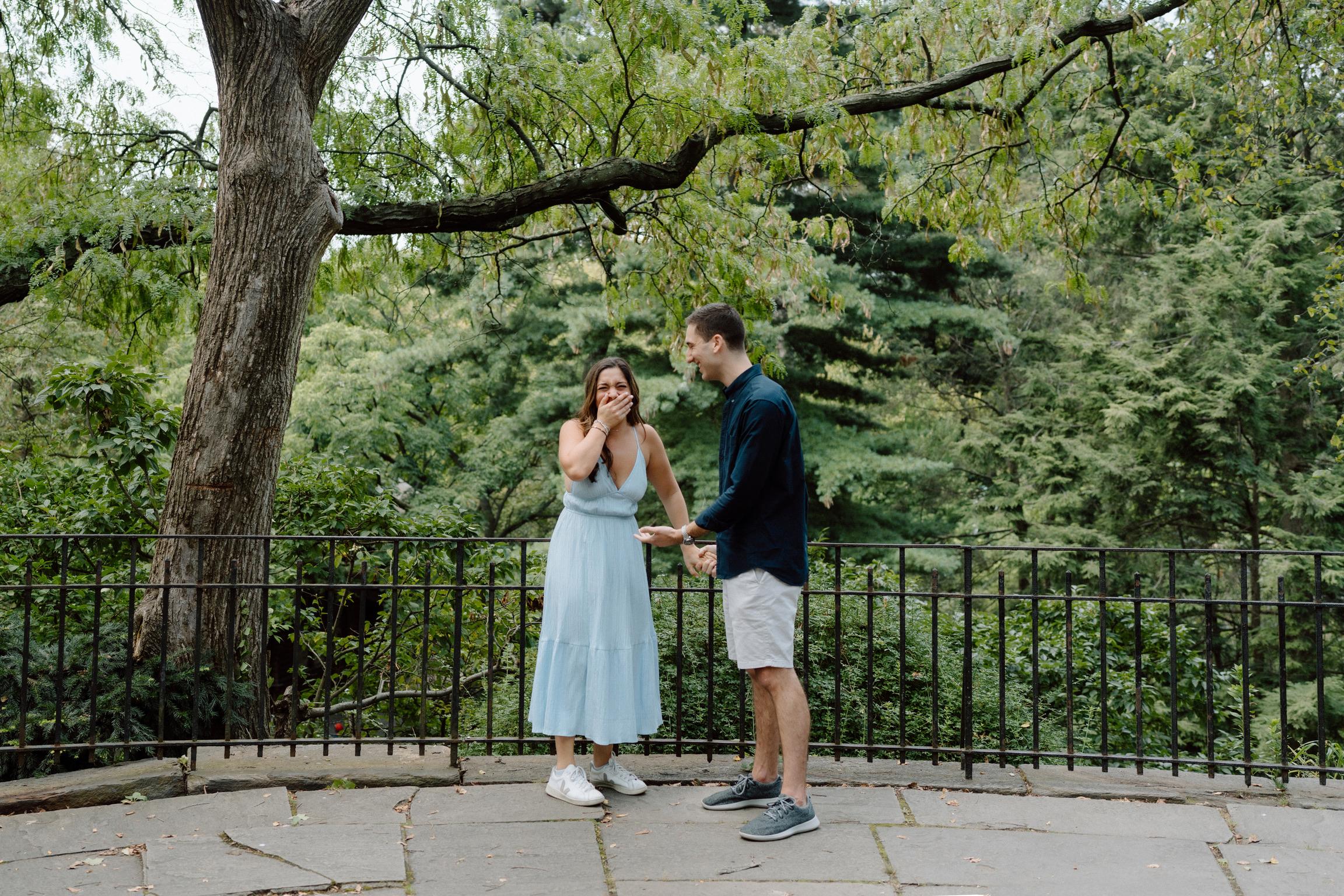 Alyson Meyer and Gregory Wolf's Wedding Website