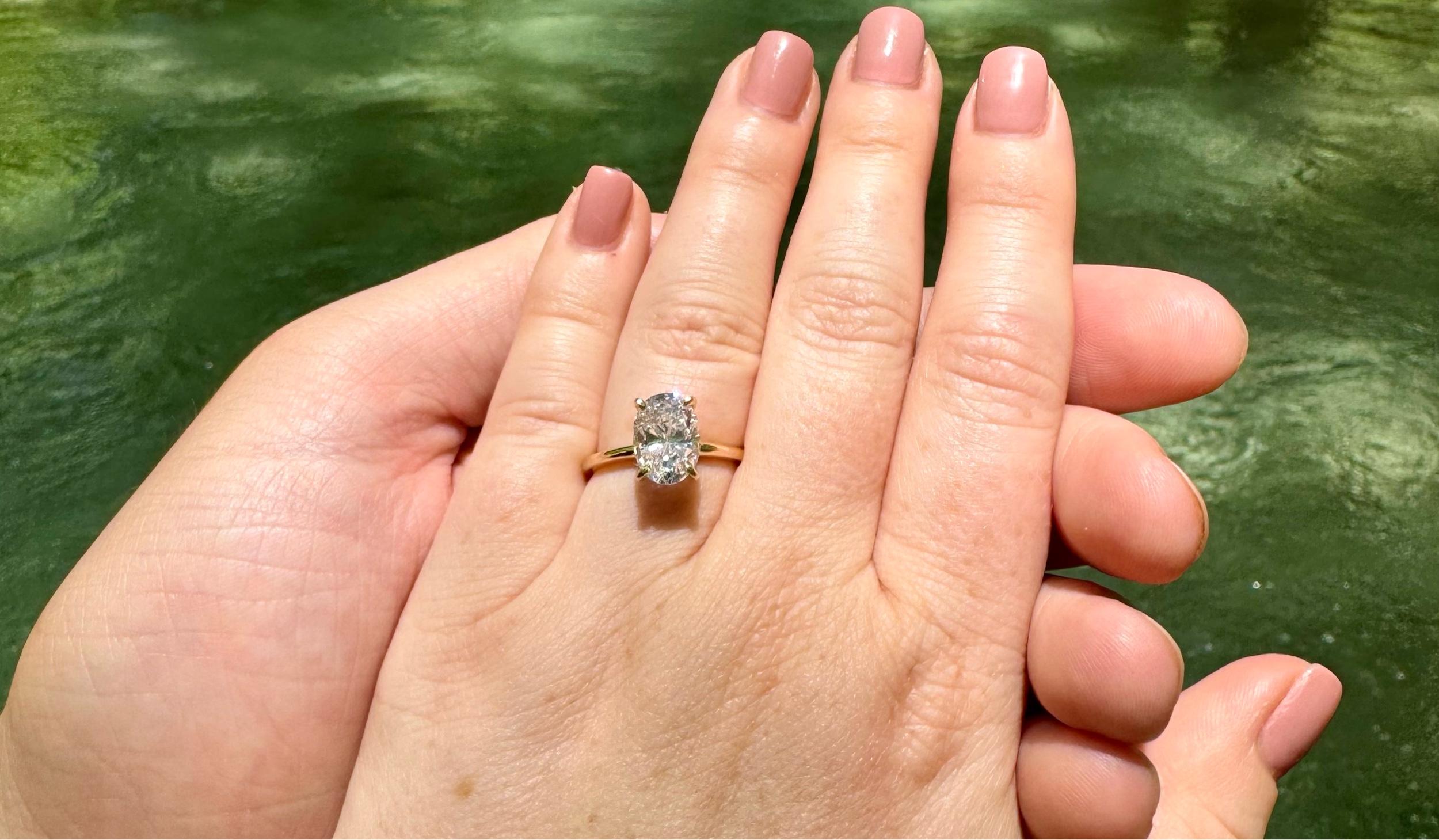 Sara Kline and Sean Purcaro's Wedding Website