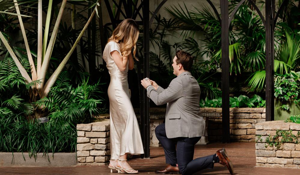 Madelyn Marie Nelson and David Michael Daly's Wedding Website