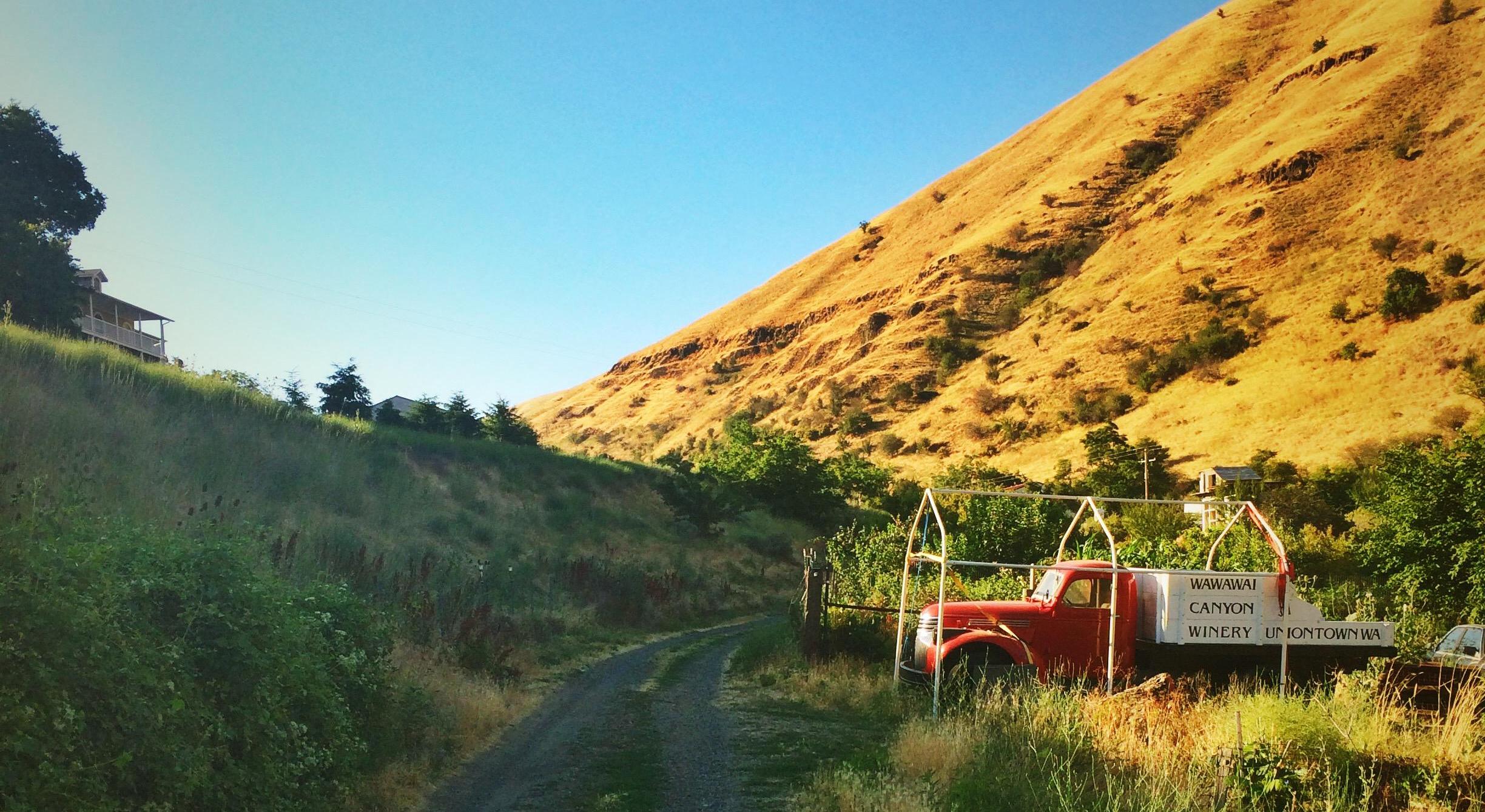 Rosalie Moffett and Jacob Sunderlin's Wedding Website