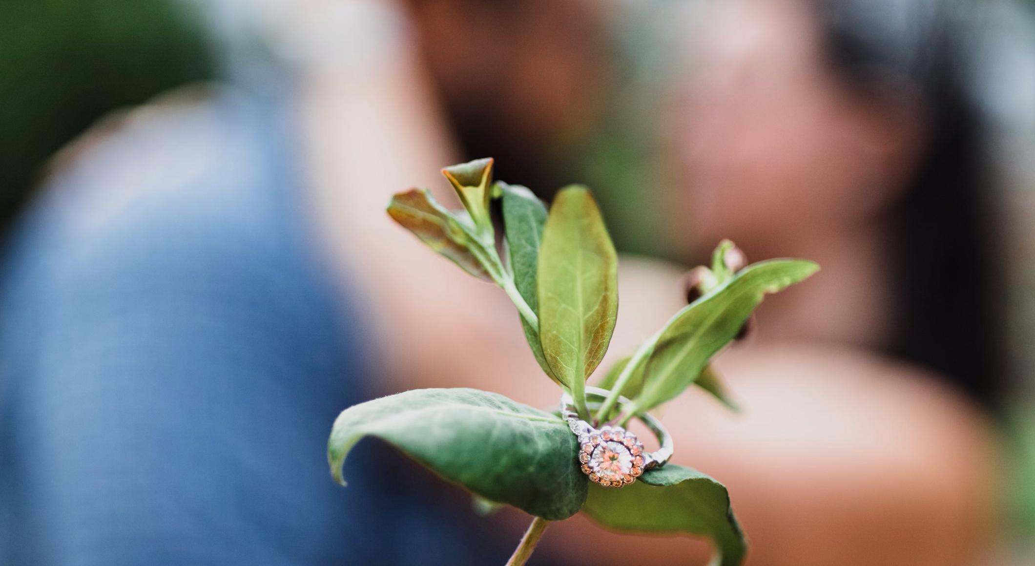 Emily Fulcher and Cole Patterson's Wedding Website