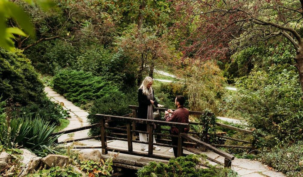 Meredith Gentry and Adam Morton's Wedding Website