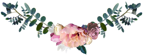 Kristin Drawbert and Jarrod McEnroe's Wedding Website