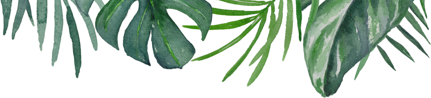 Nancy Karches and Henry Gorst's Wedding Website