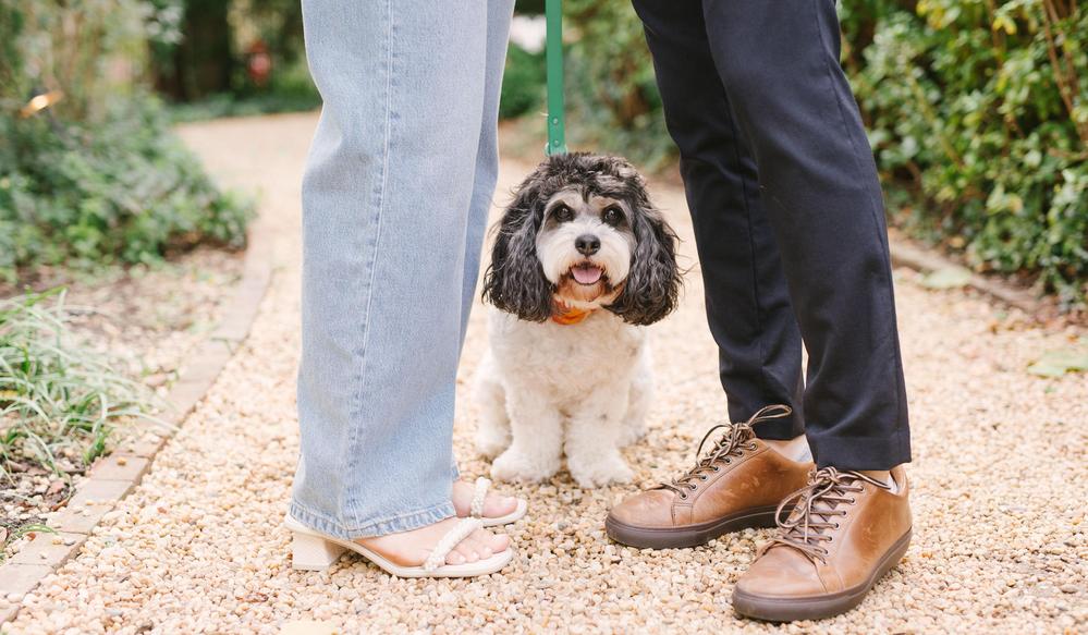 Naomi Perry and Jacob Graber-Lipperman's Wedding Website