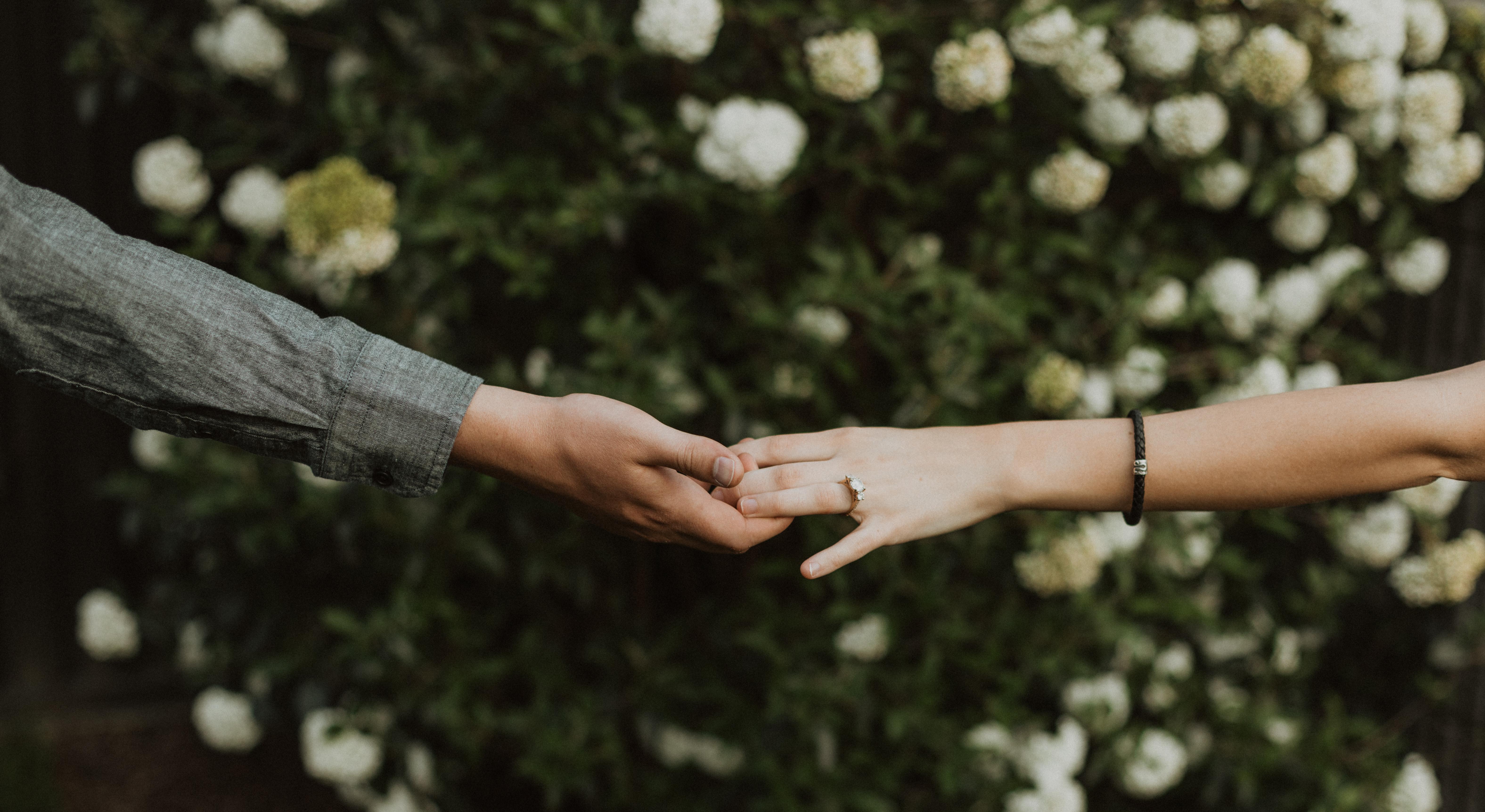 Chrissy Edgington and Andrew Pace's Wedding Website