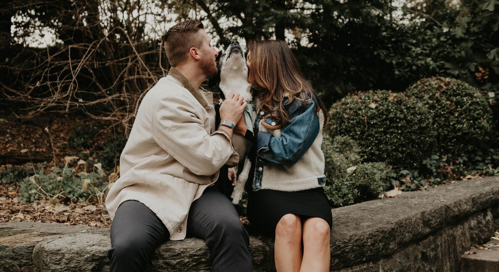 Laura Yepsen and David Soltis's Wedding Website