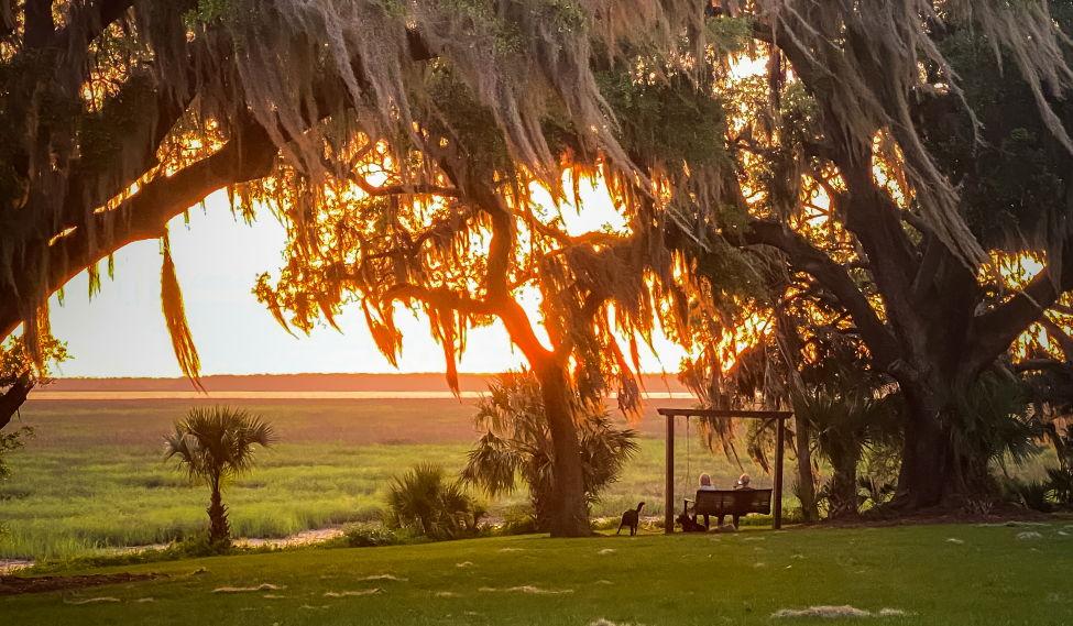 Morgan Leigh Hoyt and Carter Lyles' Wedding Website