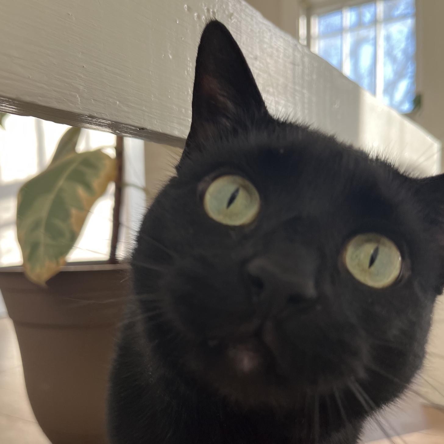 Elise Conklin and Cooper Eastham's Wedding Registry on Zola