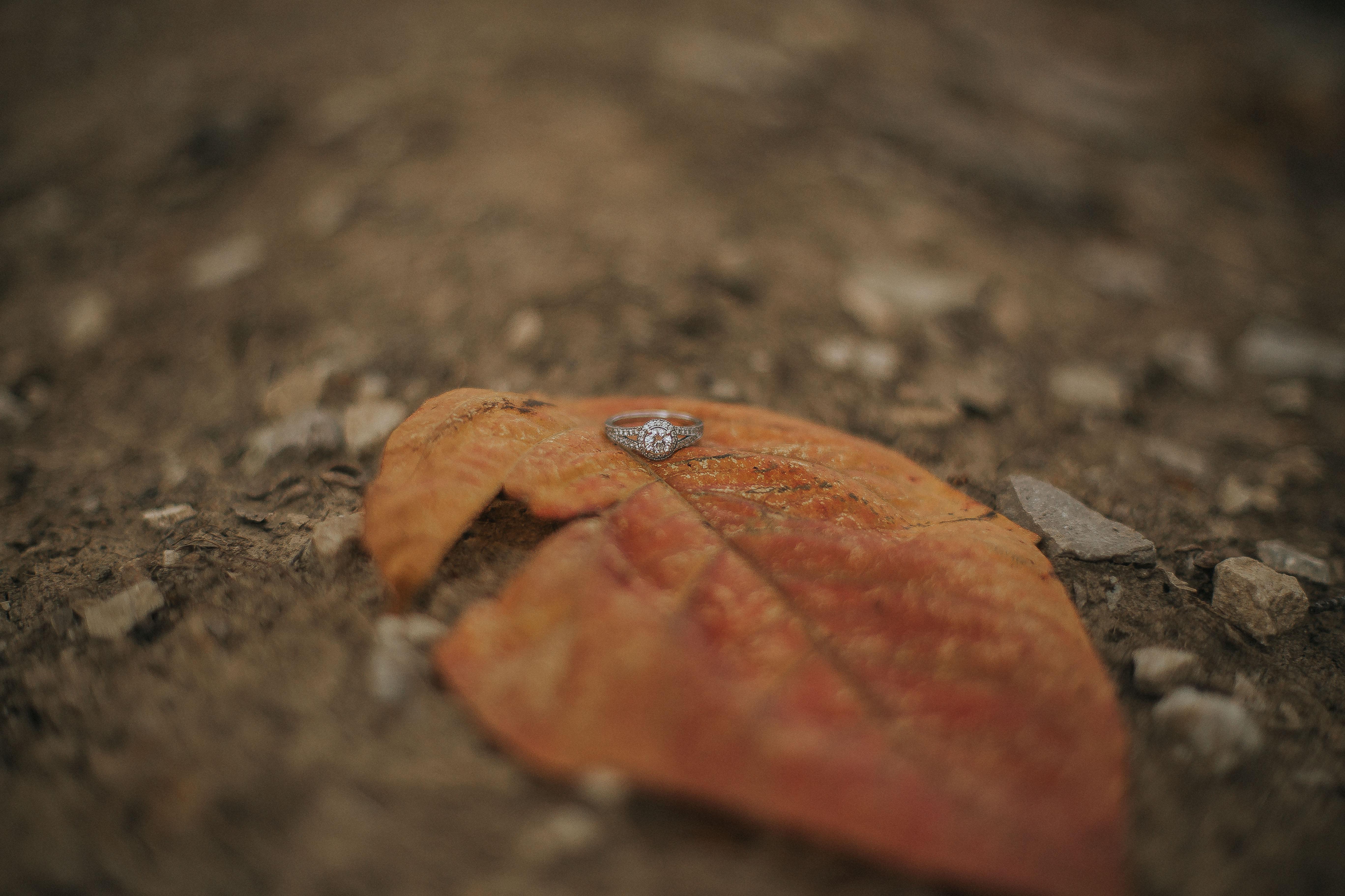 Karly Harrison and Charlie McDonnell's Wedding Website