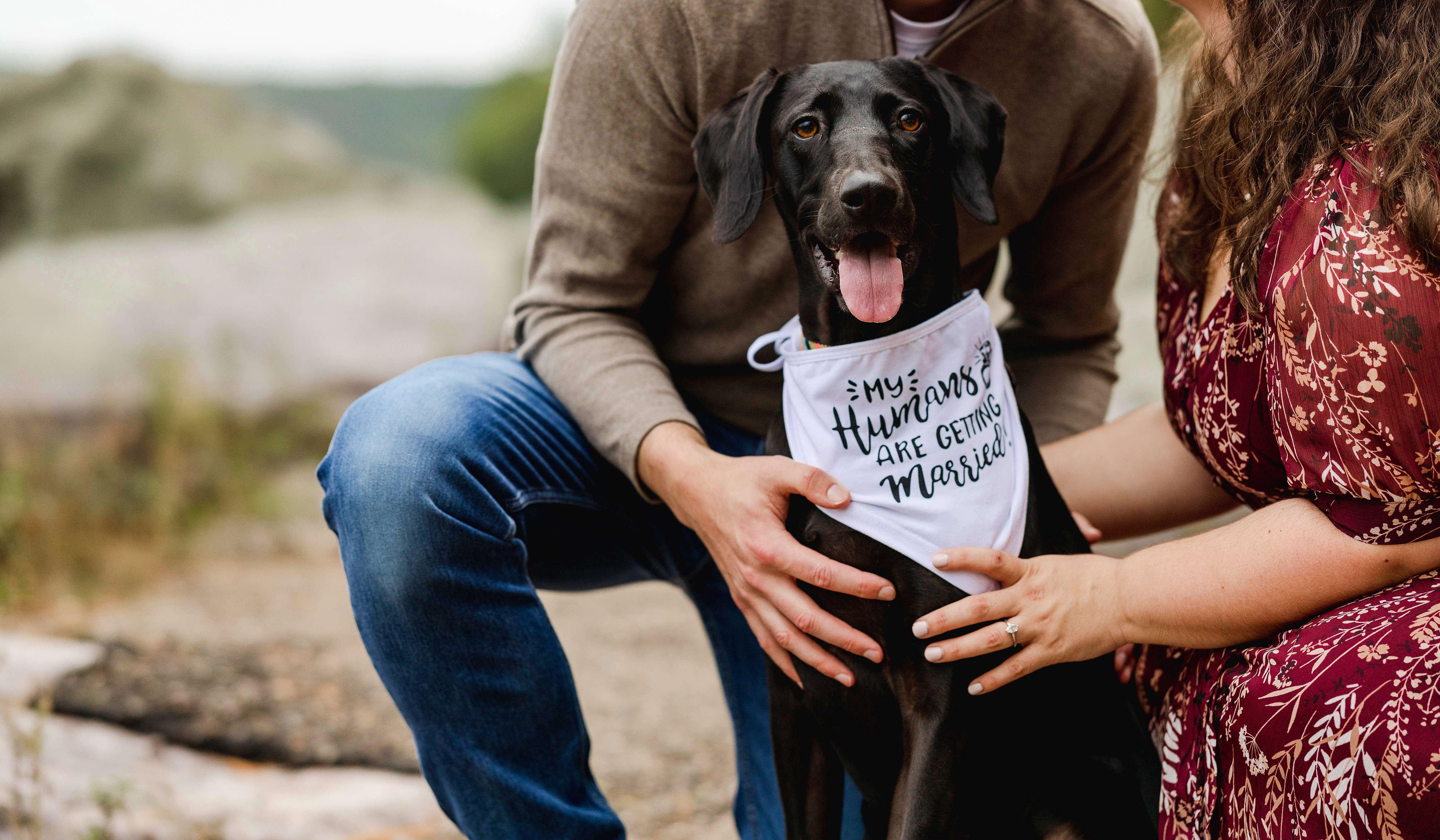 Elizabeth Major and Greg Gushurst's Wedding Website