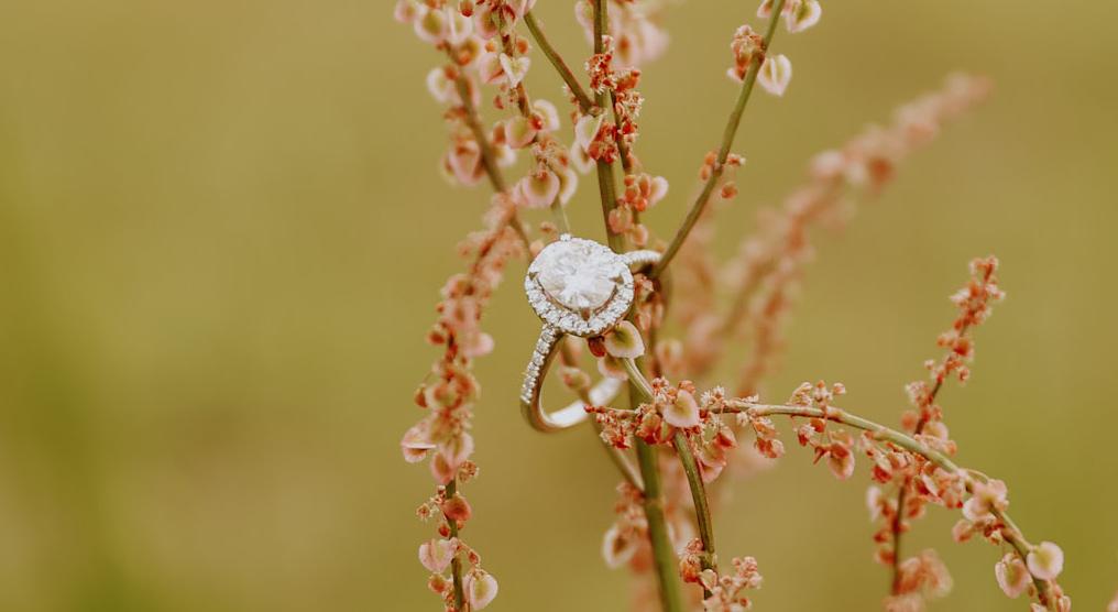 Madison McCurdy and Justin Raley's Wedding Website