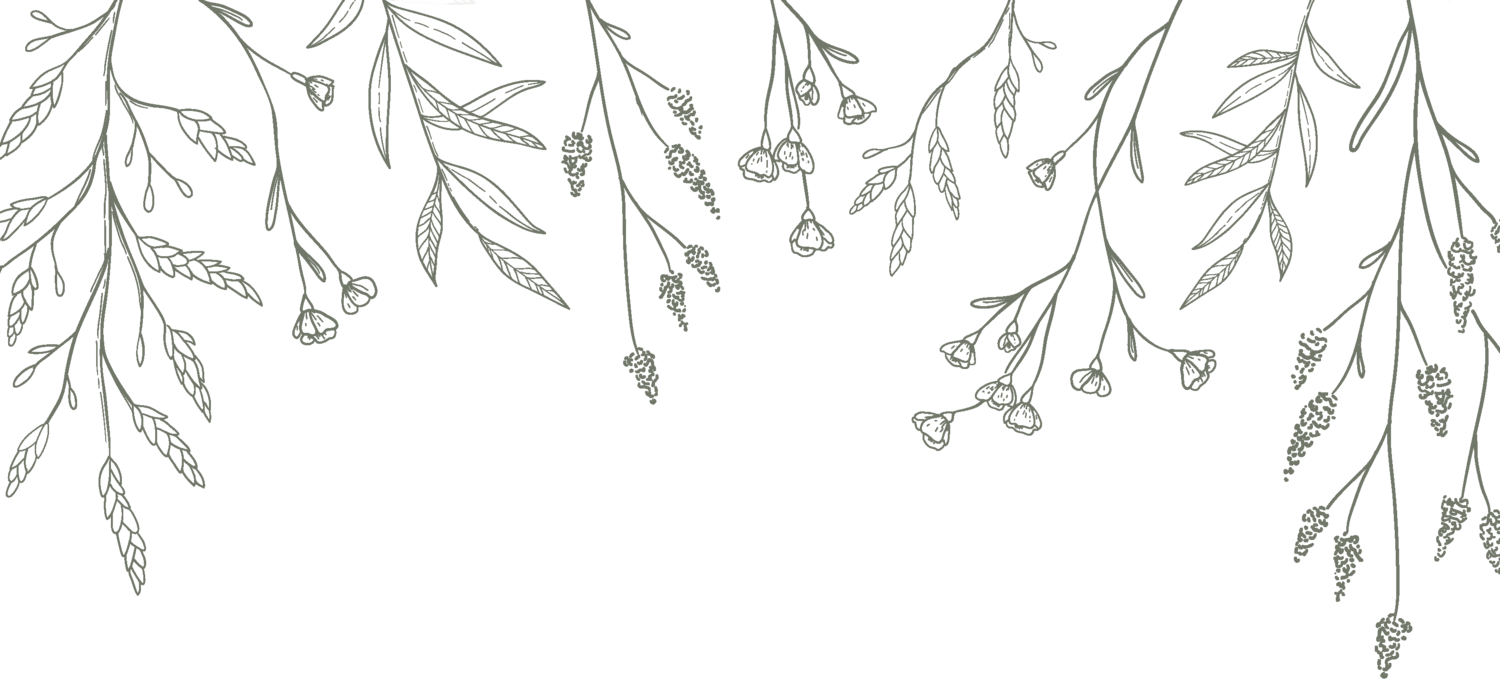 Lauren MacDonald and Robert Halgas' Wedding Website