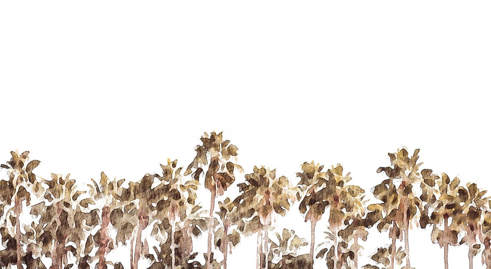 Darby Whatley and Brett Neely's Wedding Website