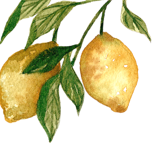 Carolyn Figuereo and Daniel Rojek's Wedding Website