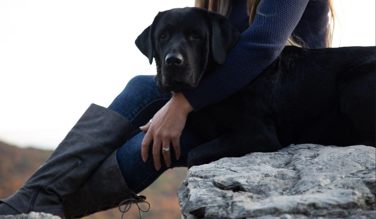 Amy Stafford and Josh Rioux's Wedding Website