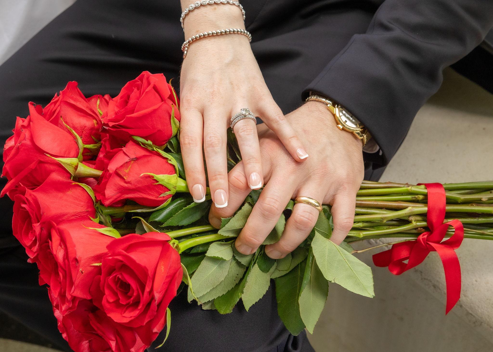 Allie Kirschner and Stephen Scherer's Wedding Website