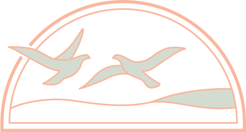 Emilia Ricciuti and Sam Lagattuta's Wedding Website