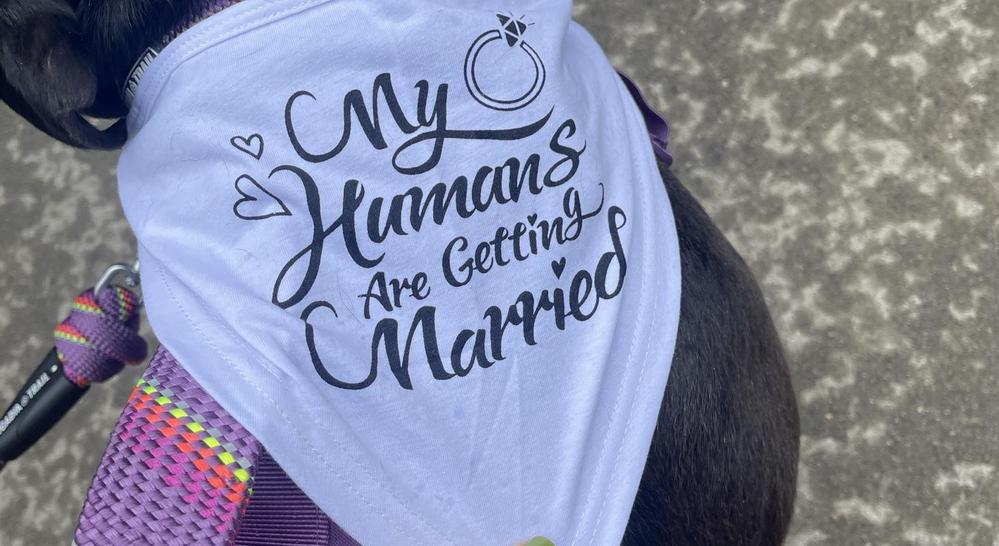 Elizabeth Sibert and Trystin Nelson's Wedding Website