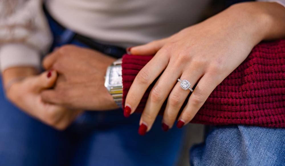 Alex Baskin and Sahil Shetty's Wedding Website