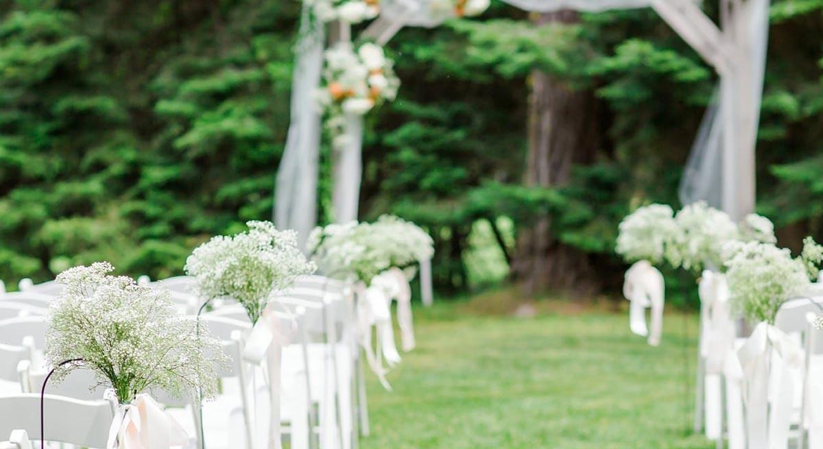 Michael Johnston and Lillie Morrisson's Wedding Website