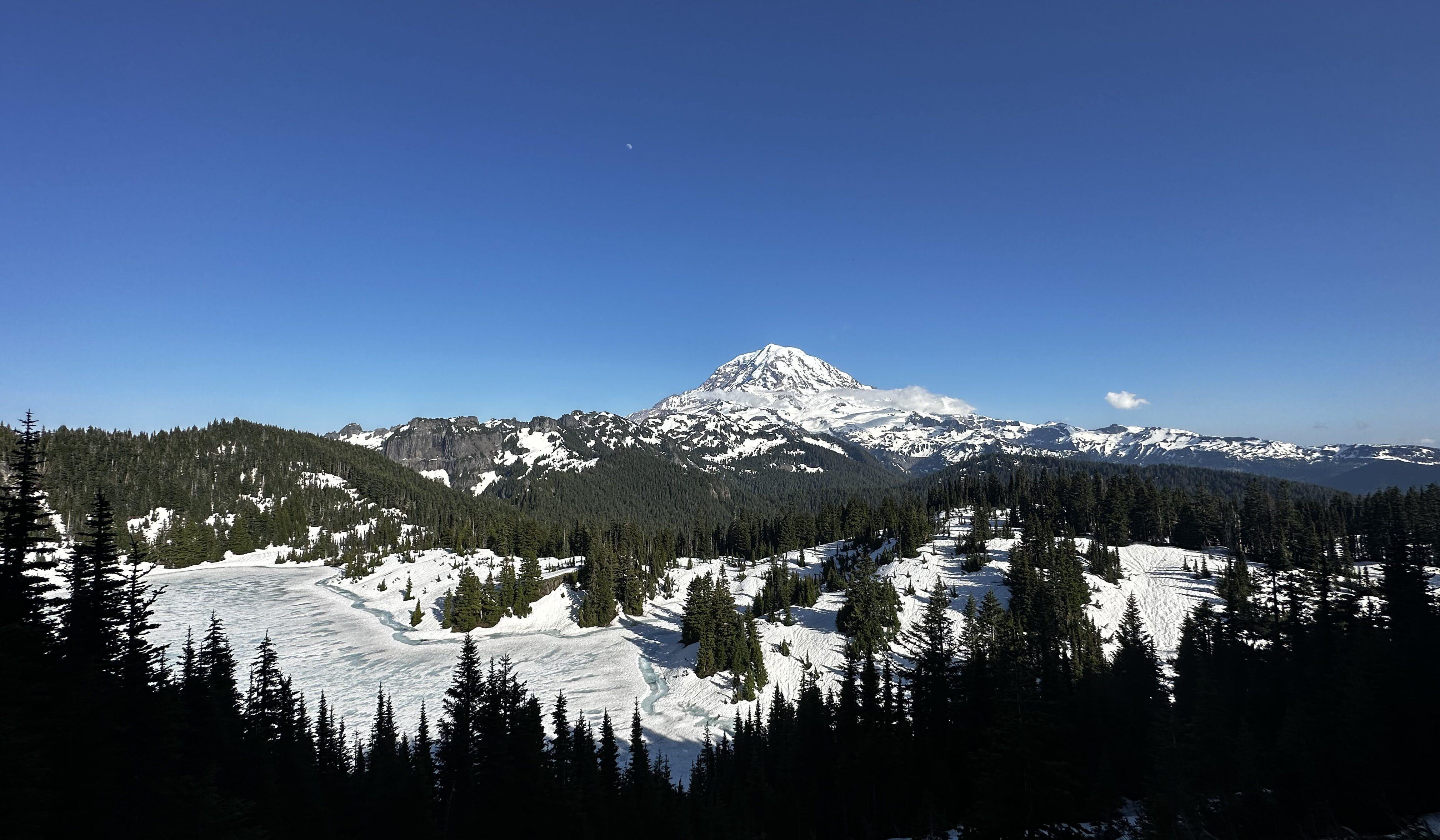 Brian Batchelor and Isabela Duarte's Wedding Website