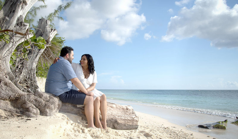 Amir Ardavan Abar and Suhina Lalla's Wedding Website