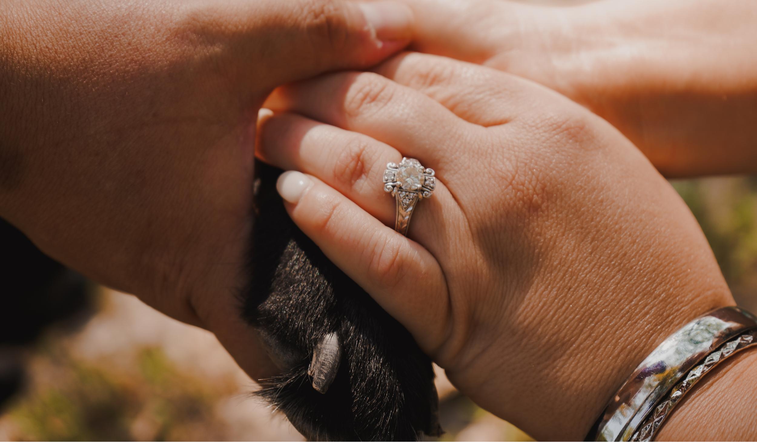 Colleen Holloway and James Schaefer's Wedding Website