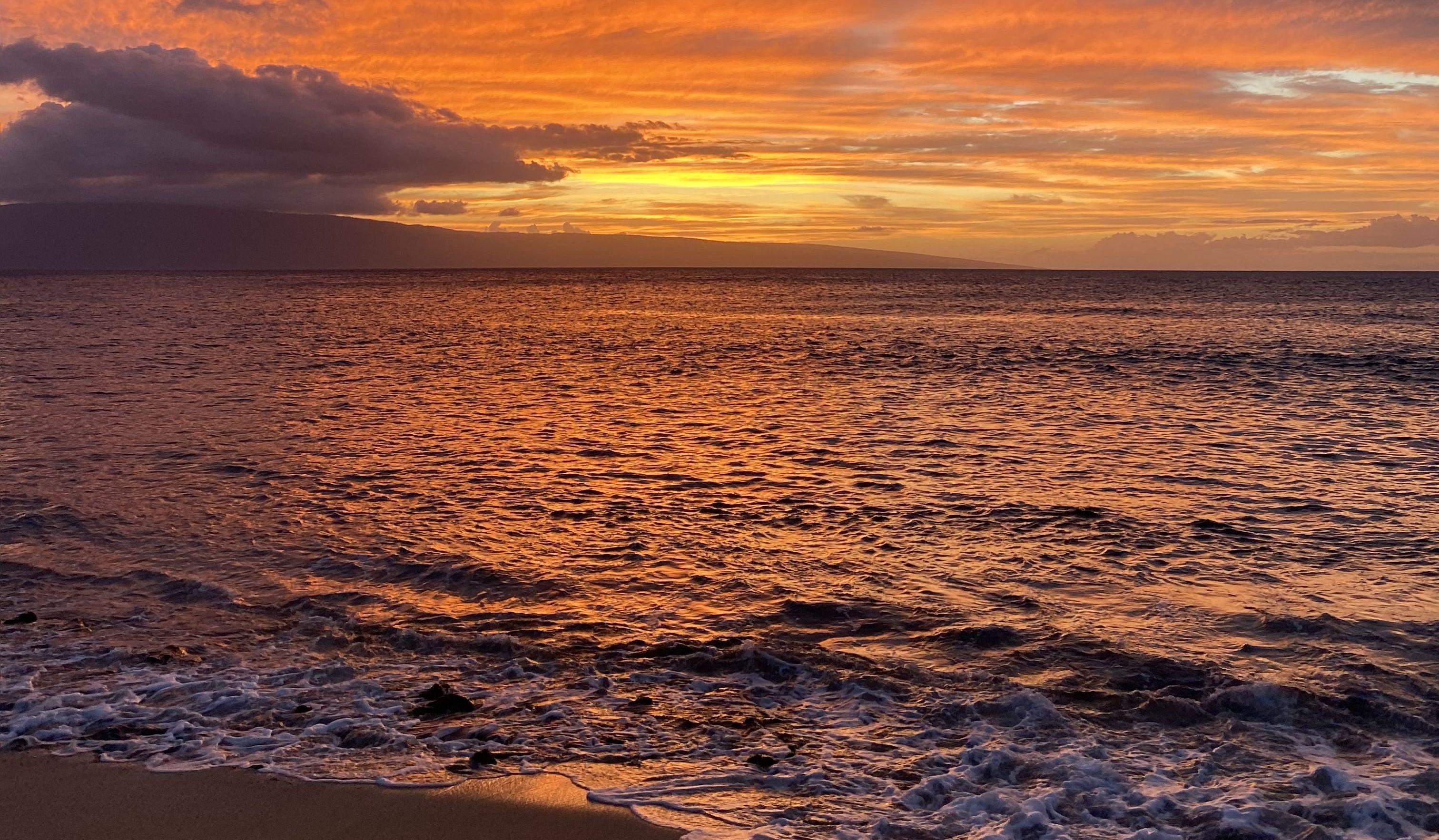 Melanie Hoffman and Alex Moore's Wedding Website