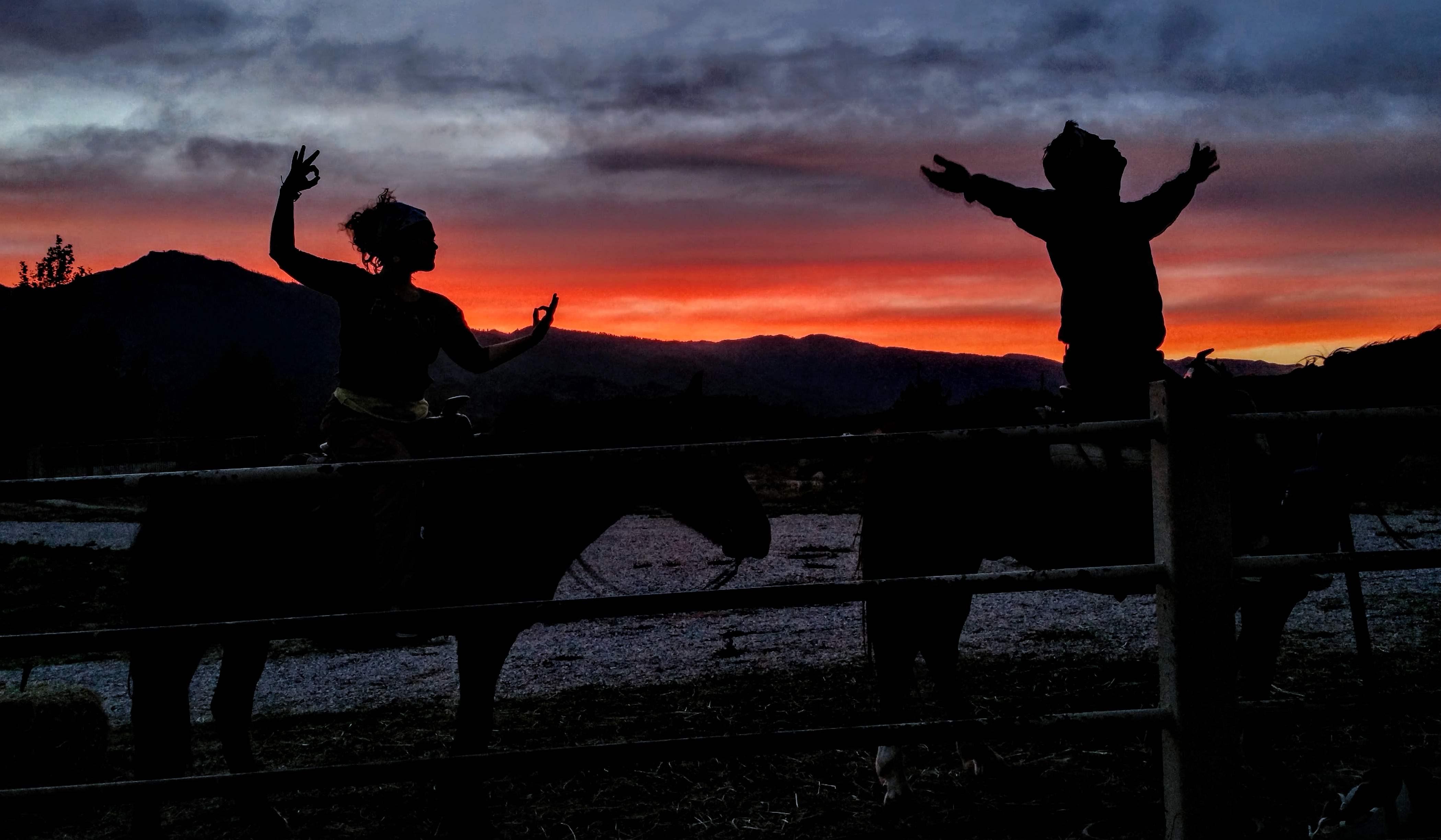 Brian Hogan and Goldy Hogan's Wedding Website