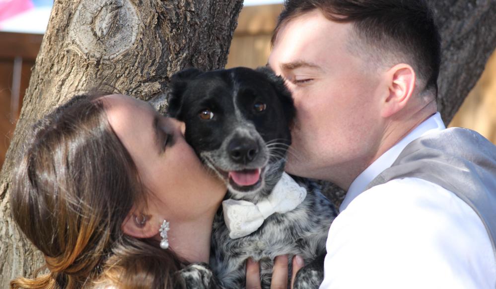 Michelle Hart and Garret Hart's Wedding Website