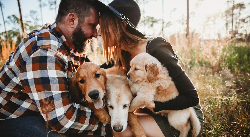 Ashlee Abston and Scott Kazek's Wedding Website