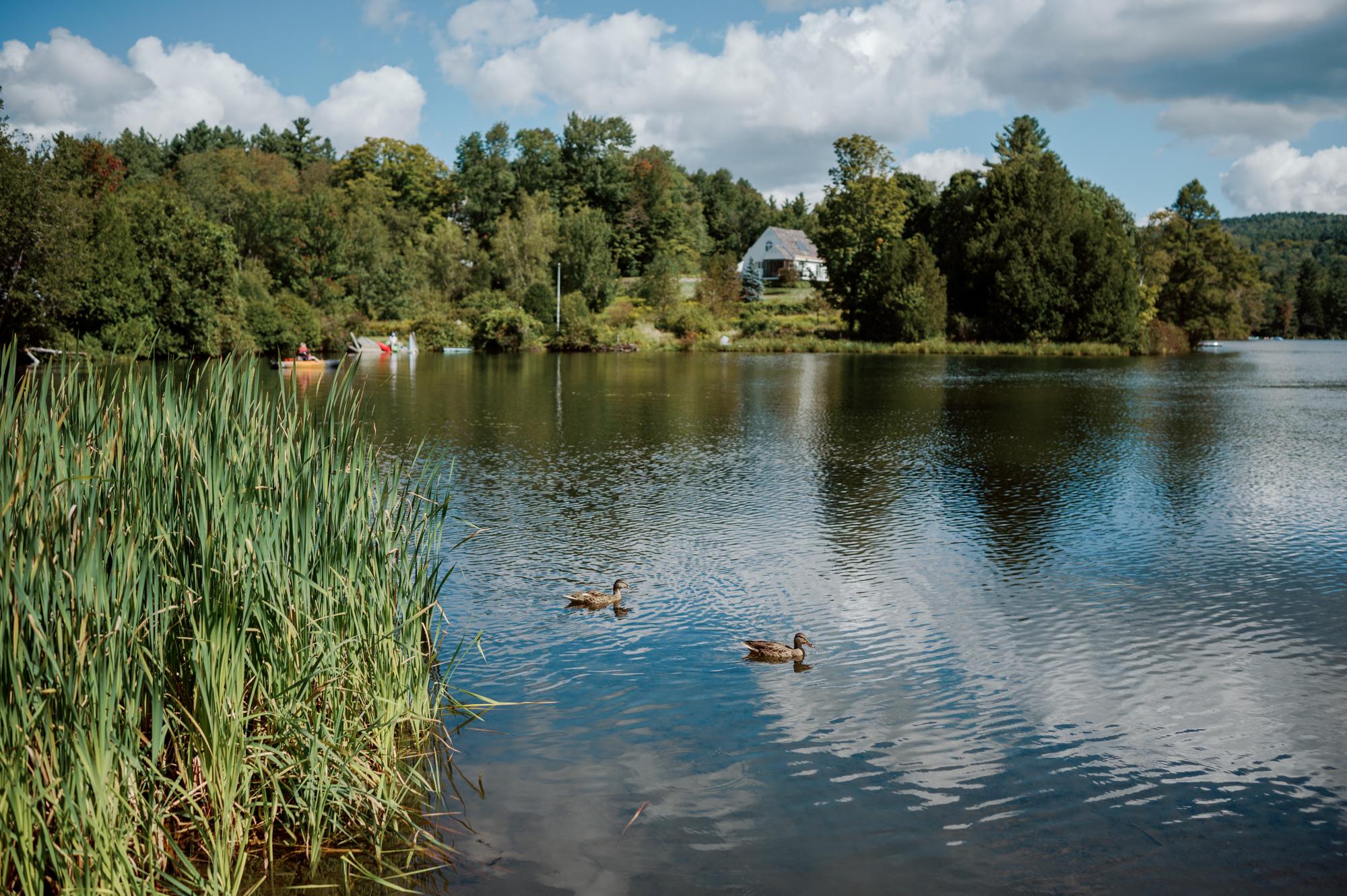 Caitlin Nevins and Christopher Starace's Wedding Website