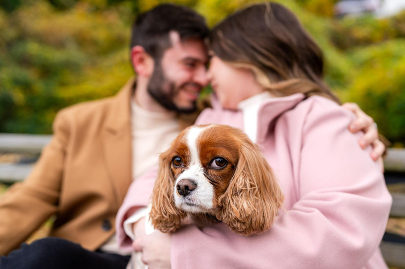 Allison Sisto and Christopher DeMarco's Wedding Website