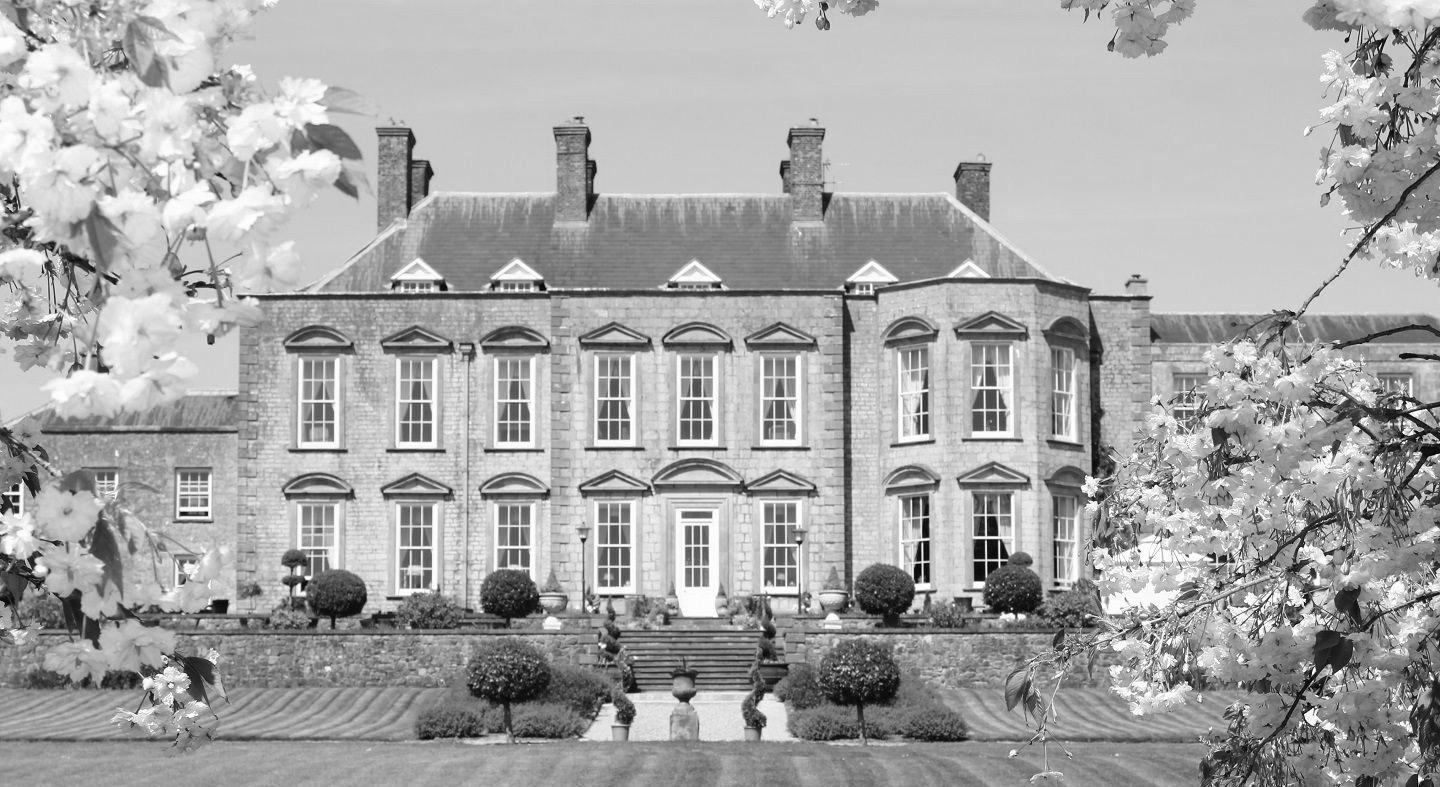 Danielle Clancy and Ed Rossiter's Wedding Website