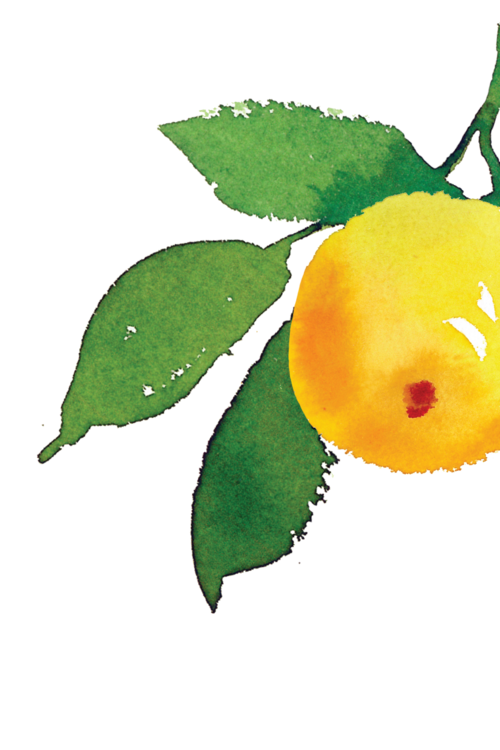 Lauren Connaghan and Patrick Connaghan's Baby Registry - Zola Baby