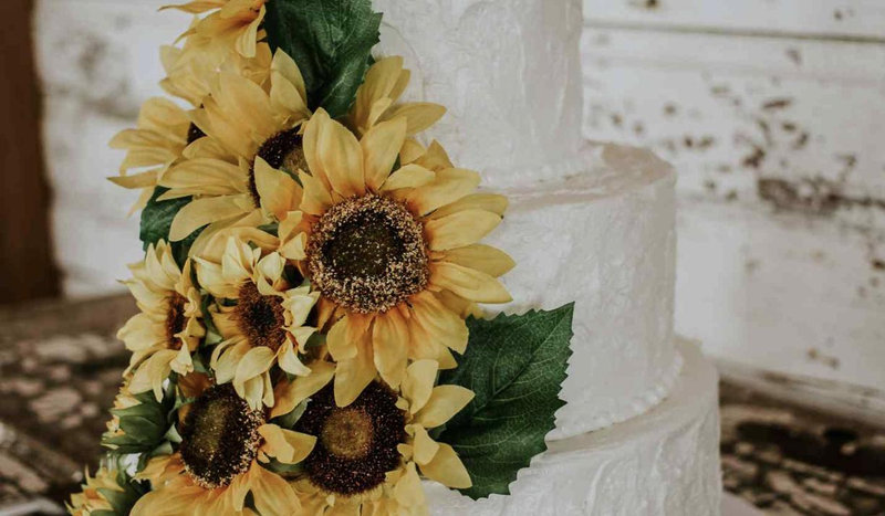 Amber Krager and Kyle Hall's Wedding Website