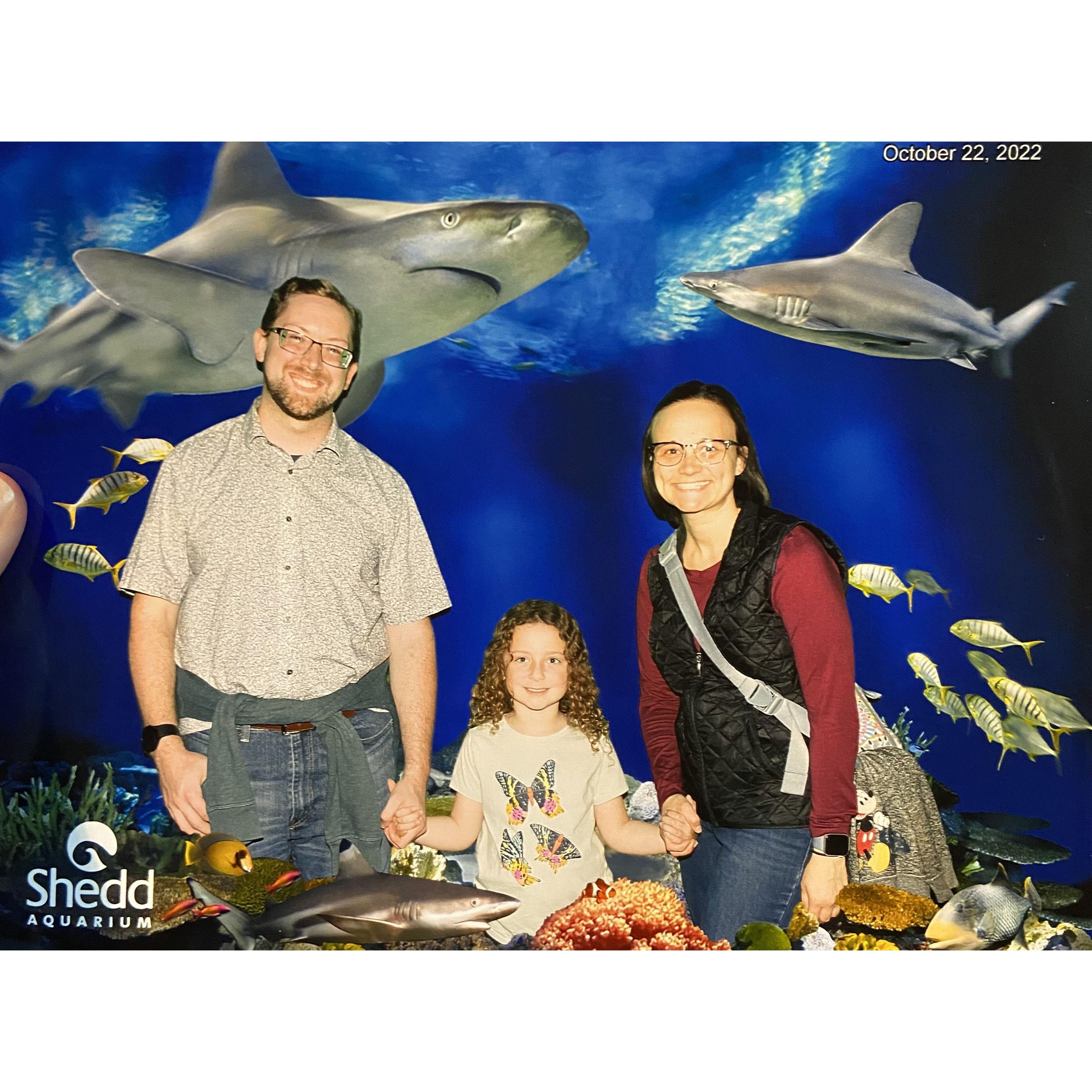 Lindsay Morgan Henry and Tyler Nelson Feece's Wedding Website