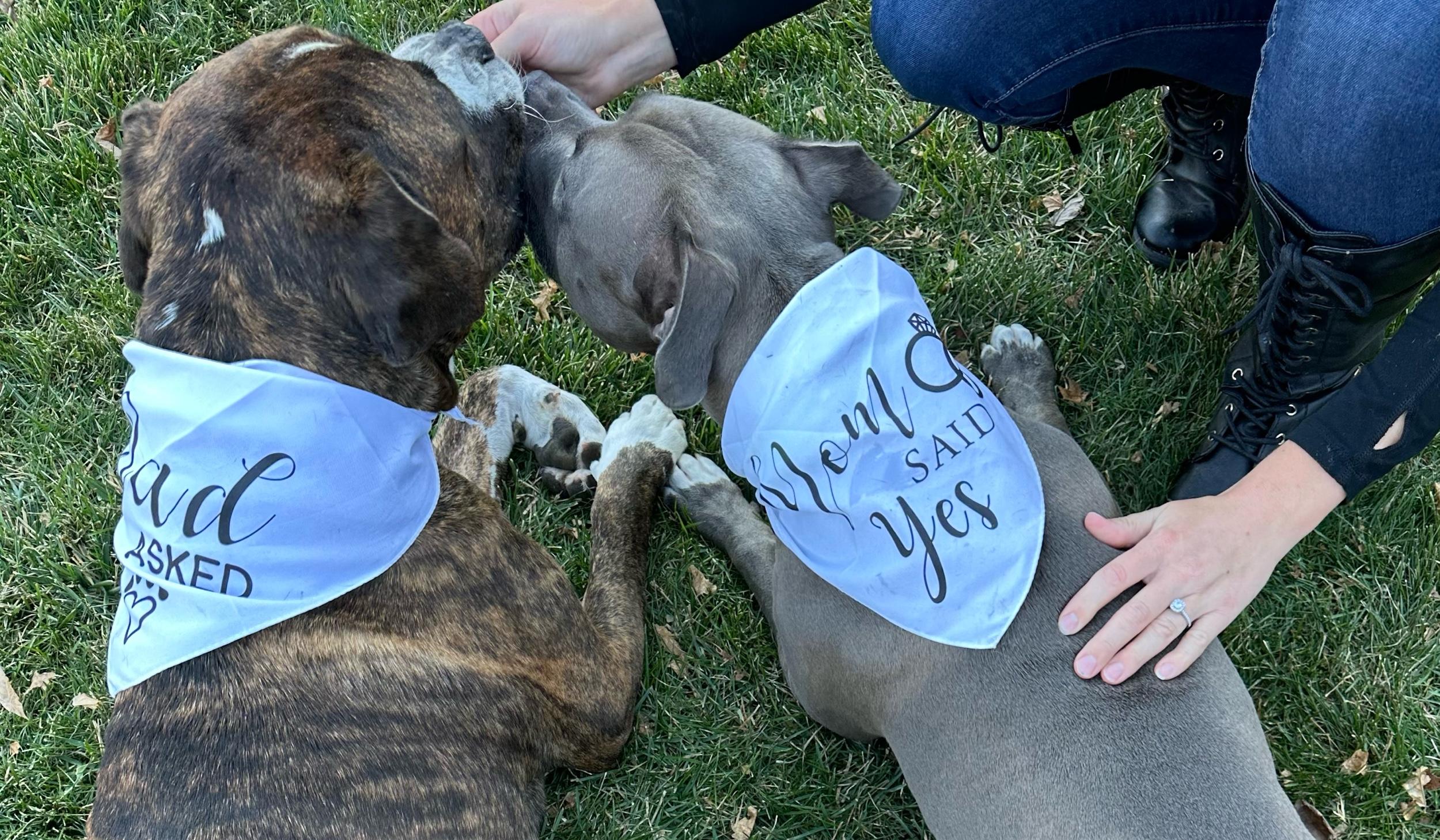 Samantha Thies and Kyle Trecker's Wedding Website