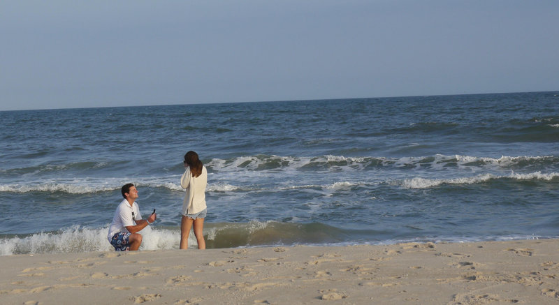 Abby Sargent and Joe Fabrizio's Wedding Website