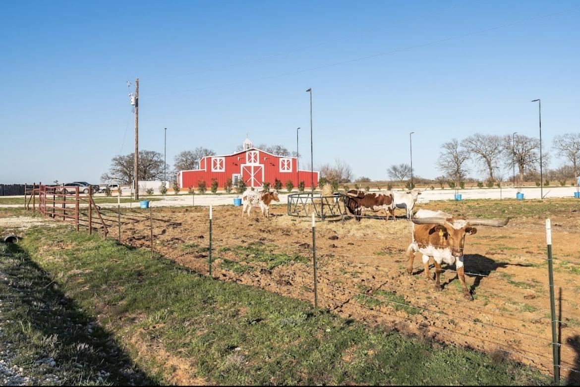 Aubrey Bullard and Levi DeLong's Wedding Website