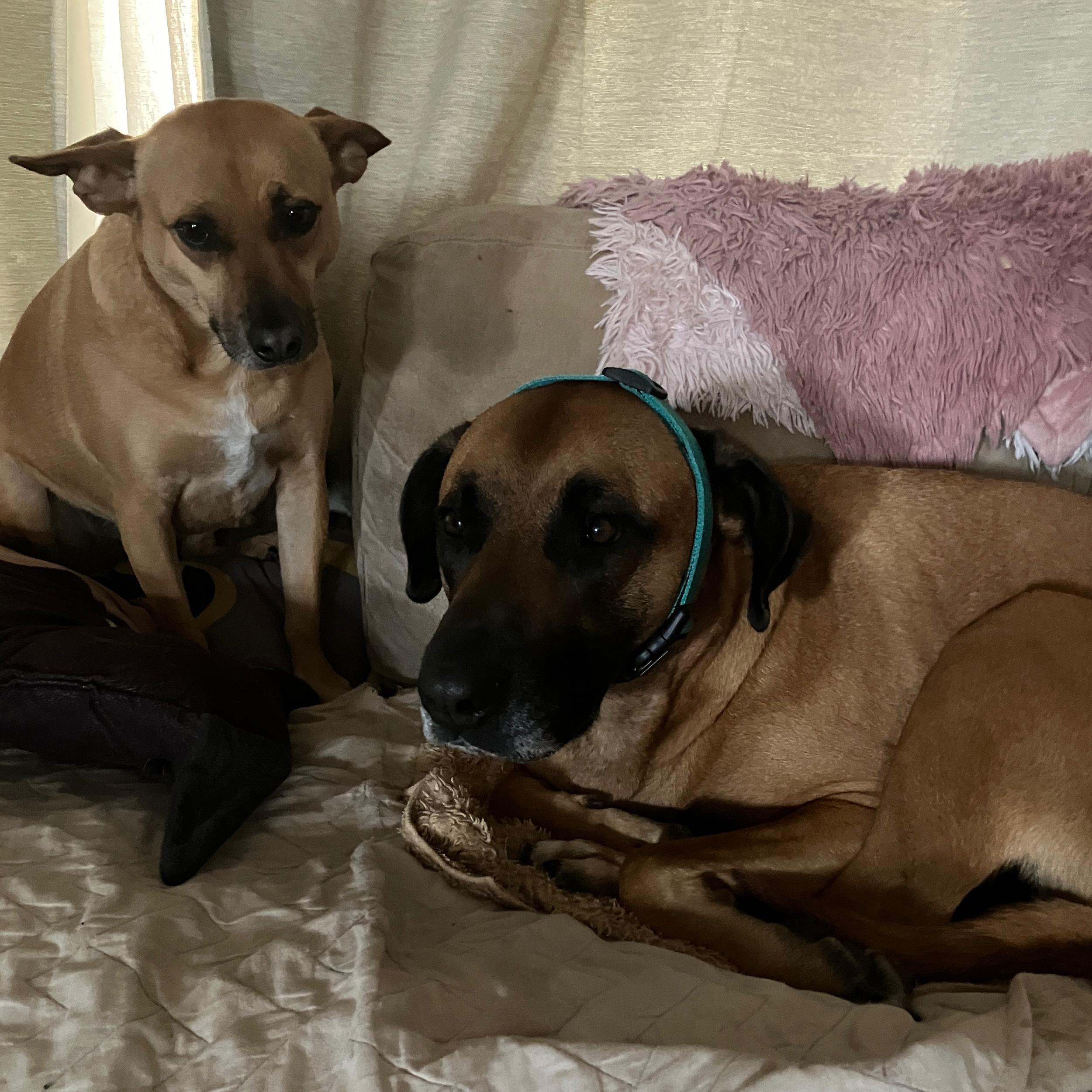 Bean Boudreau and Meg Boudreau's Wedding Website