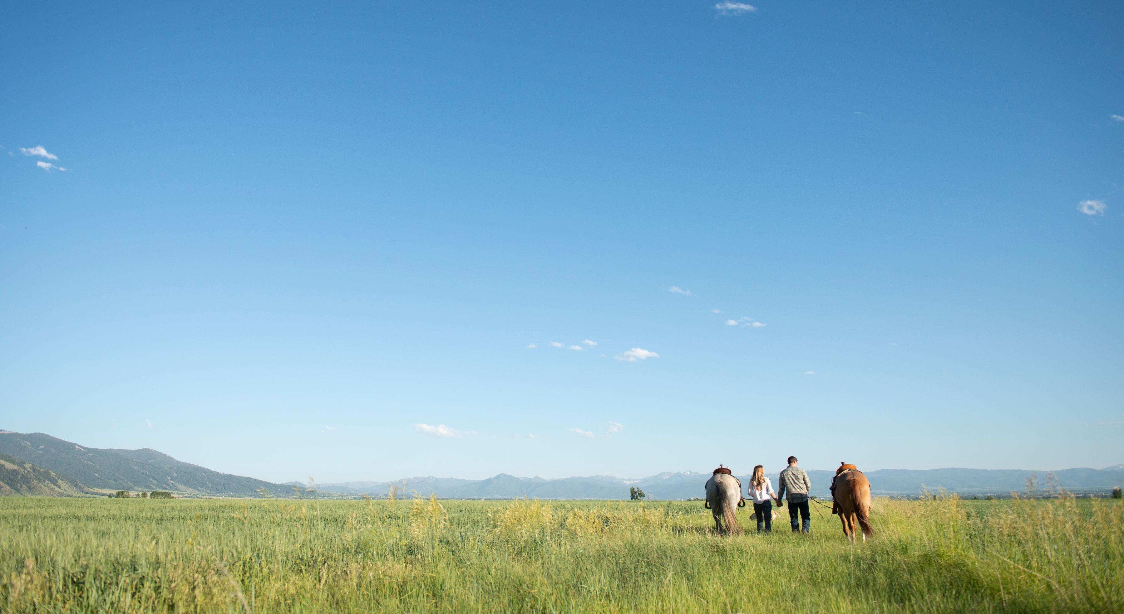 Sage Cowles and Patrick Rooney's Wedding Website