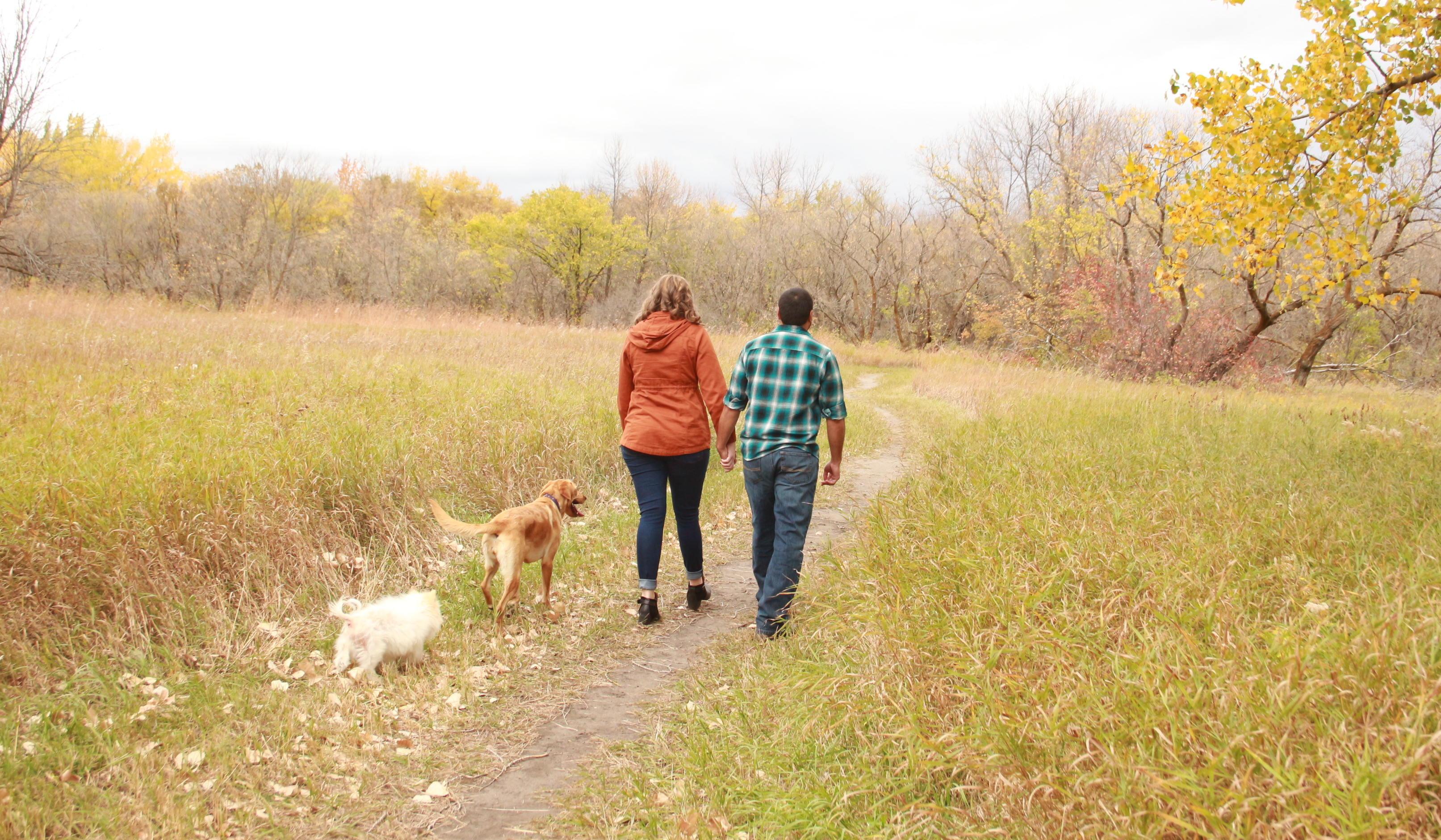 Jamie Mallory and P.J. Grine's Wedding Website